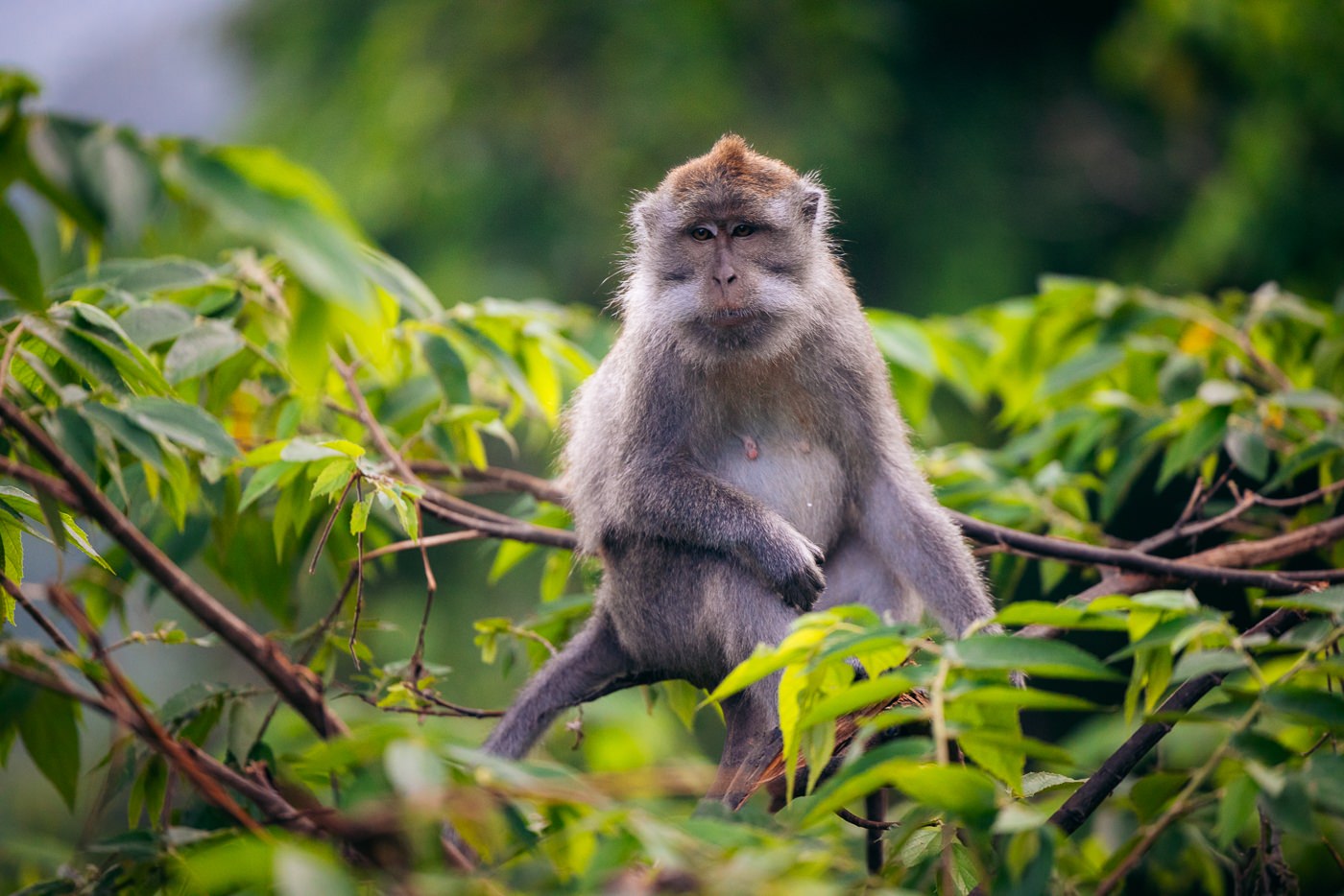 25 Awesome Things to do in Lombok