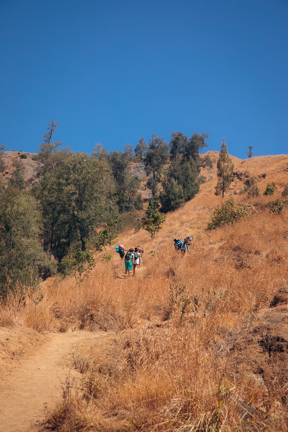 Mount Rinjani Trek: What to Know Before You Climb