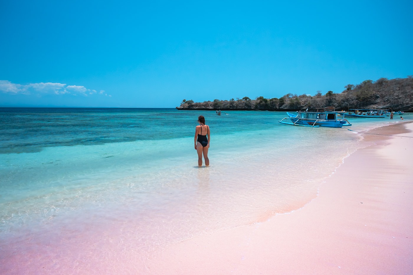 How to Visit Lombok's Pink Beach (Pentai Tangsi)