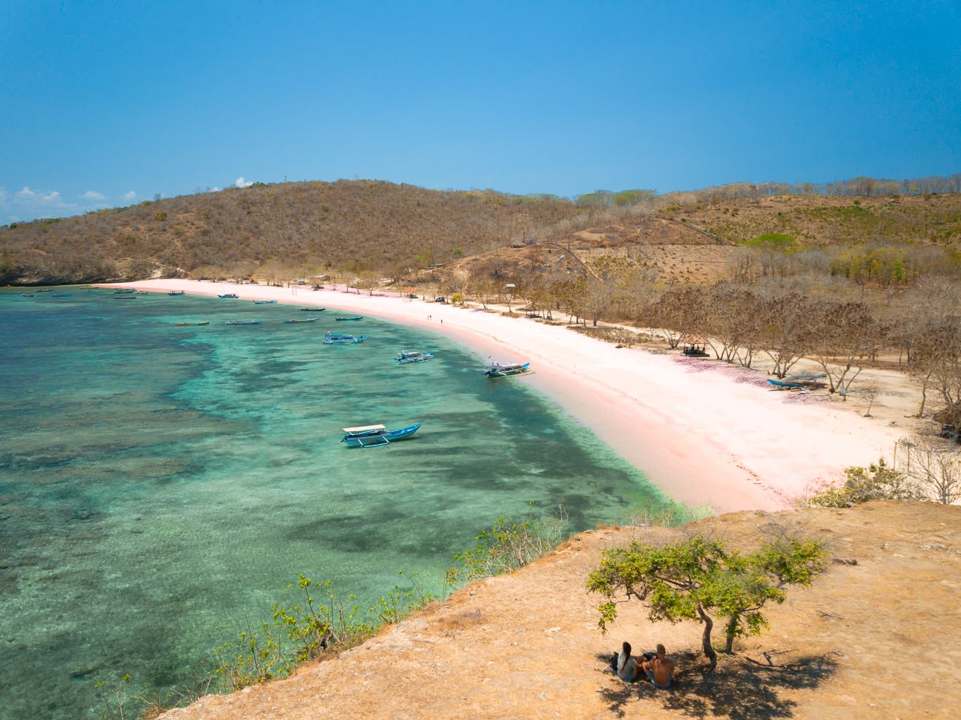 How to Visit Lombok's Pink Beach (Pentai Tangsi)
